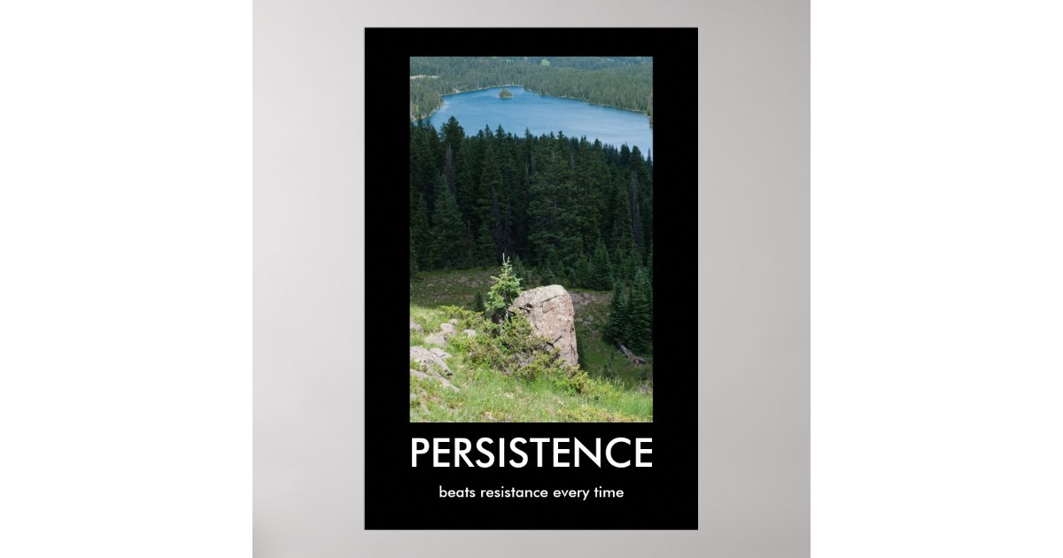 Persistence Demotivational Poster | Zazzle