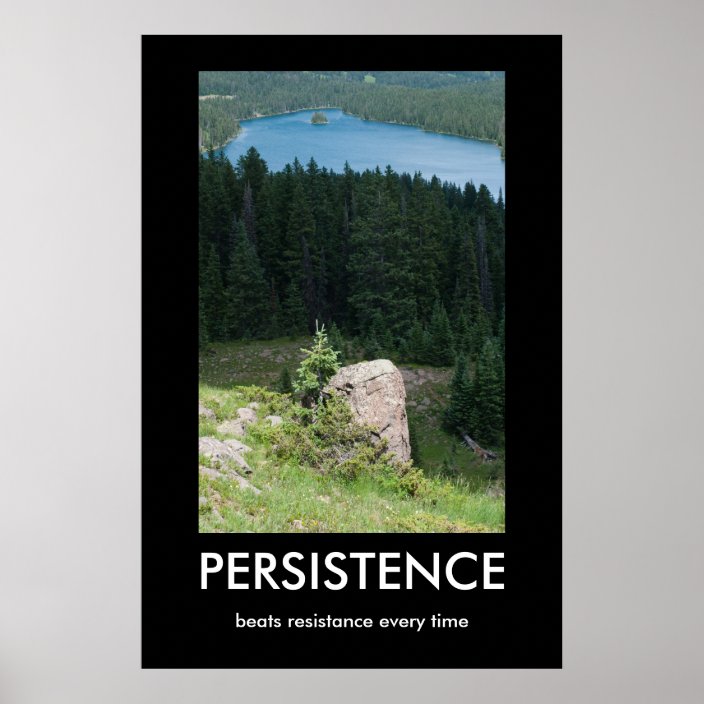 Persistence Demotivational Poster | Zazzle.com
