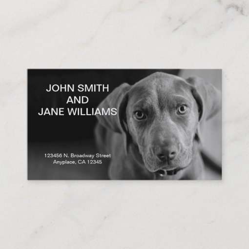 Personal Calling Card: Couples w Pet Photo Business Card | Zazzle