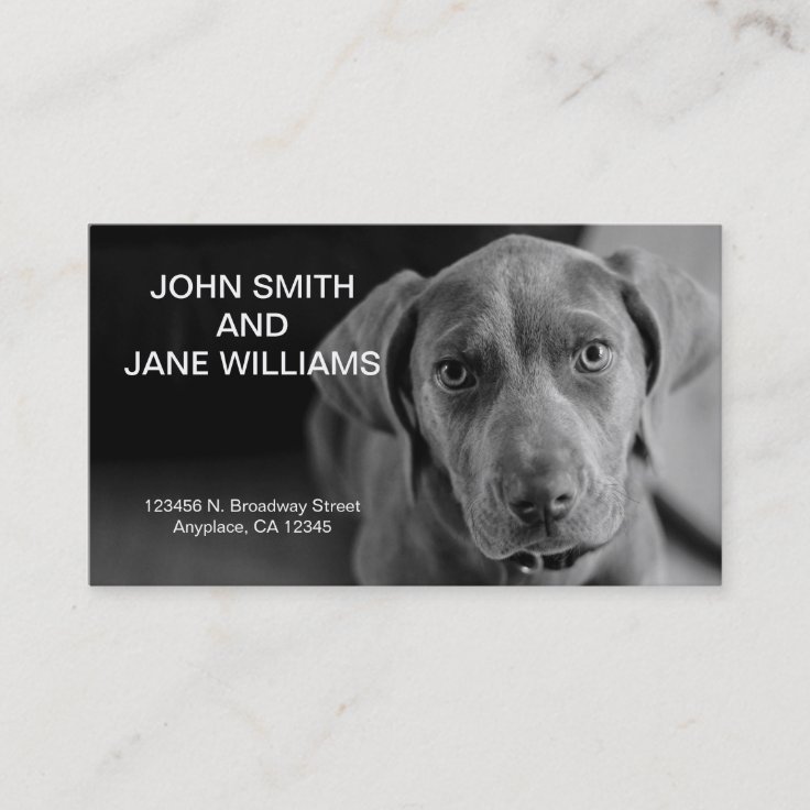 Personal Calling Card: Couples w Pet Photo Business Card | Zazzle