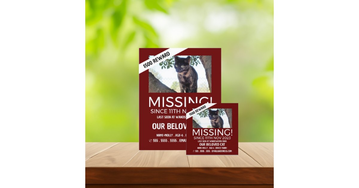 Personalised Photograph, Missing, Lost Pet Flyer | Zazzle