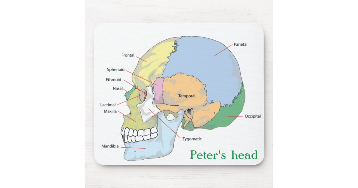 Personalize Skull Anatomy Mouse Pad | Zazzle