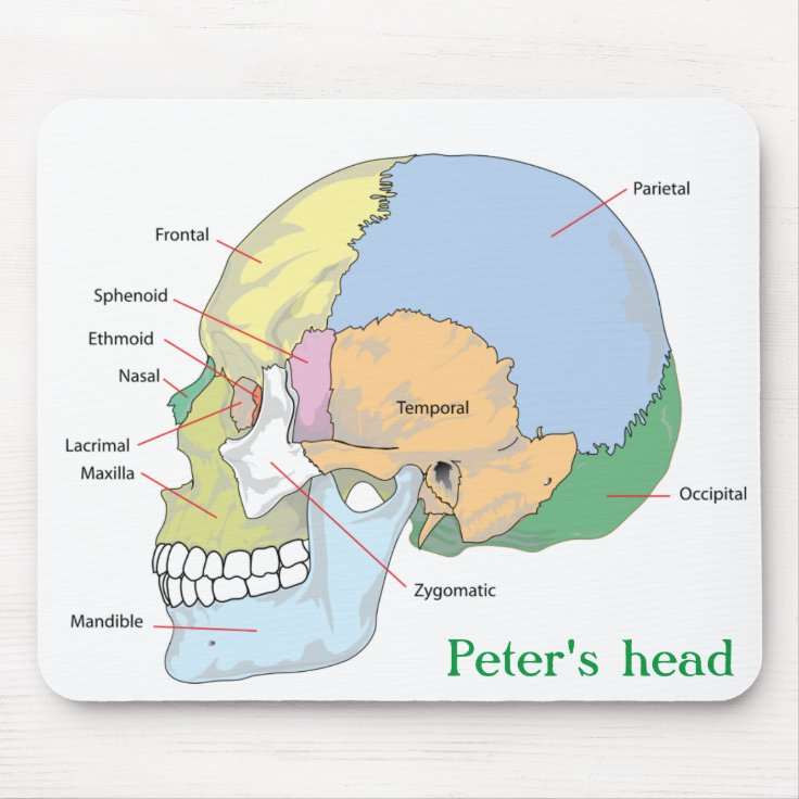 Personalize Skull Anatomy Mouse Pad | Zazzle