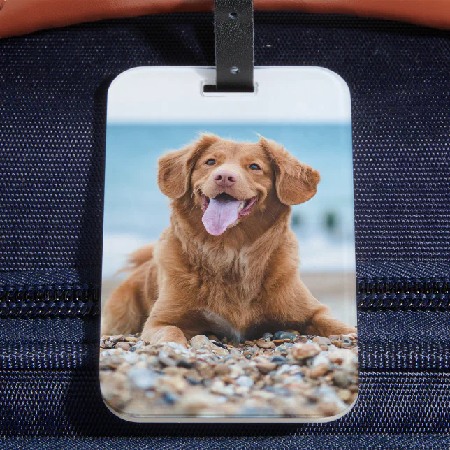 Personalized 2 Photo Custom Create Your Own Dog Luggage Tag | Zazzle
