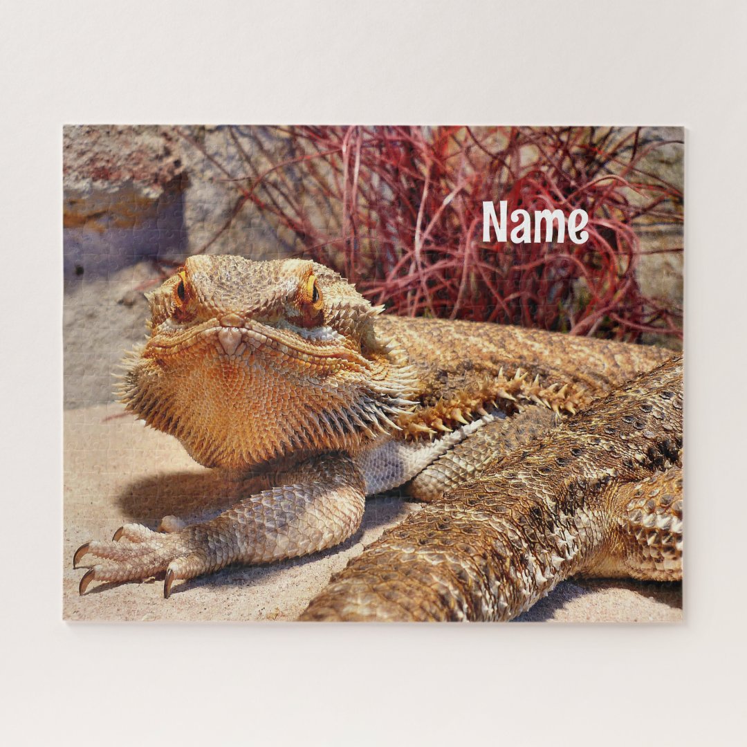 Personalized Adult Bearded Dragon Lizard Jigsaw Puzzle | Zazzle