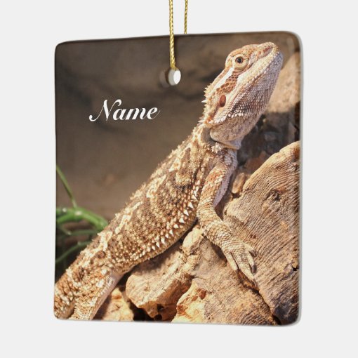 Personalized Baby Bearded Dragon Lizard Ceramic Ornament | Zazzle