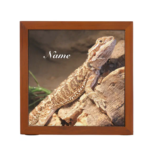 Personalized Baby Bearded Dragon Lizard Desk Organizer | Zazzle