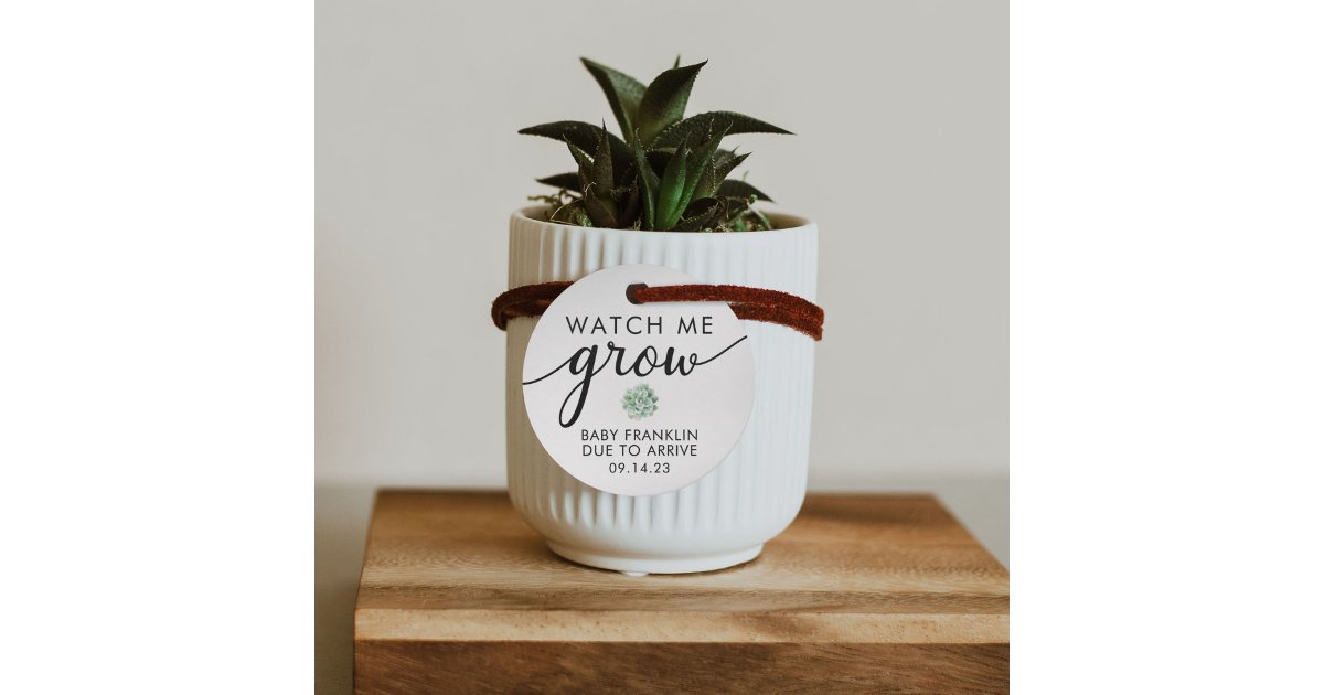 Personalized Baby Shower Succulent Favor Tags | Zazzle