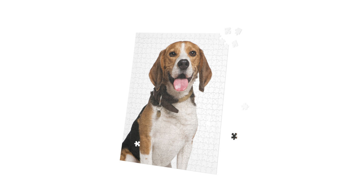 Personalized Beagle Dog Photo Jigsaw Puzzle | Zazzle