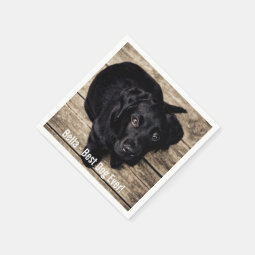 Personalized Black Lab Dog Photo and Dog Name Paper Napkins | Zazzle