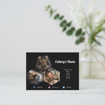 Personalized Black Photo Collage Cattery Business Card | Zazzle
