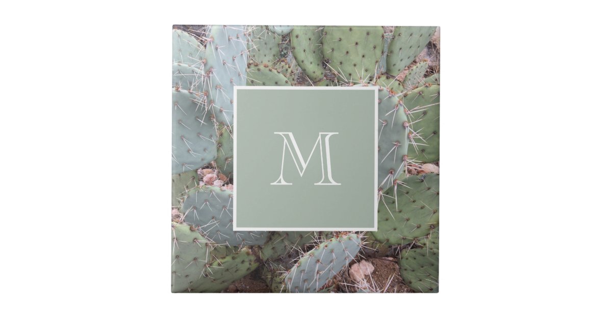 Personalized Cactus ceramic tile | Zazzle