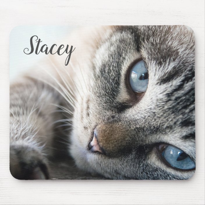 Personalized Cat Kitten Themed Mouse Pad Mousepad | Zazzle.com