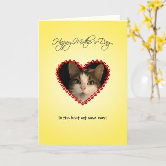 Personalized cat mom Mothers Day Card | Zazzle