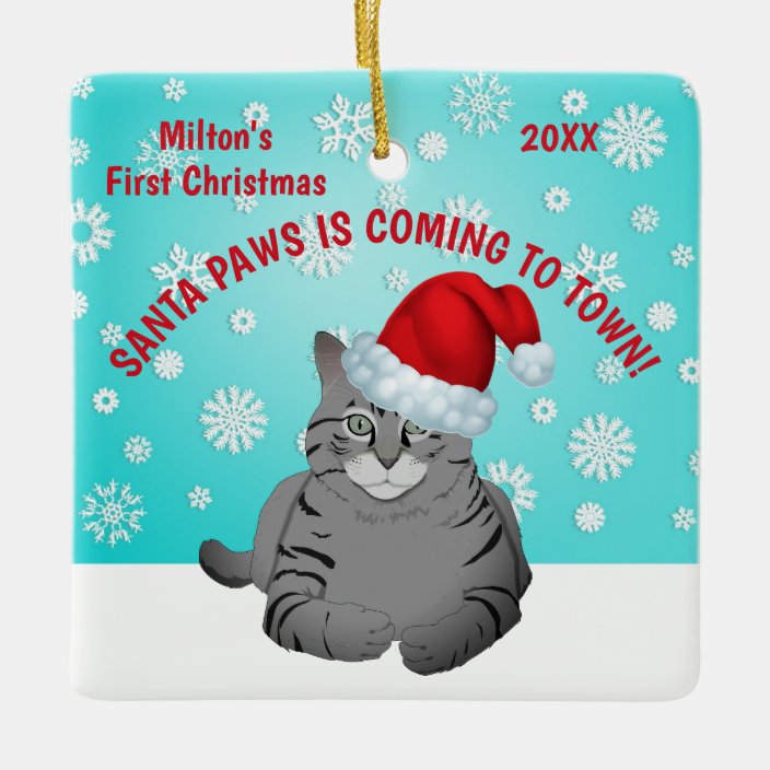 Personalized Cat's First Christmas Ornament | Zazzle.com