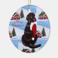 Personalized Chocolate Lab Christmas Santa Hat Ceramic Ornament | Zazzle