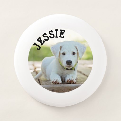 Personalized Custom Dog Photo & Name Frisbee | Zazzle