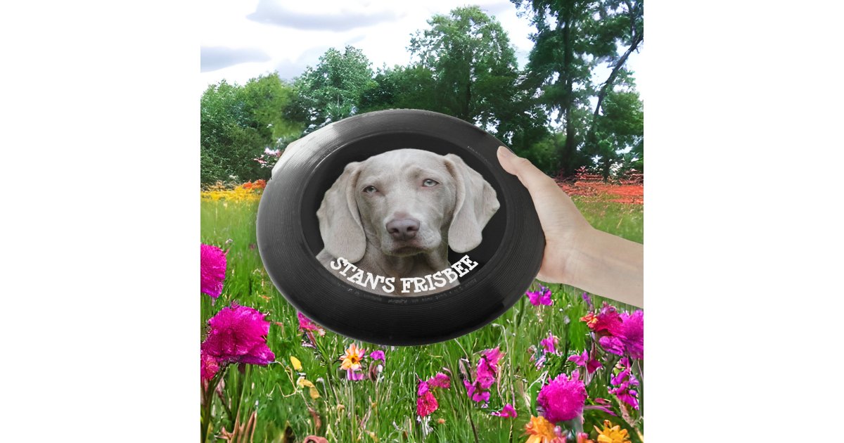 Personalized Custom Dog Photo & Name Frisbee Black | Zazzle