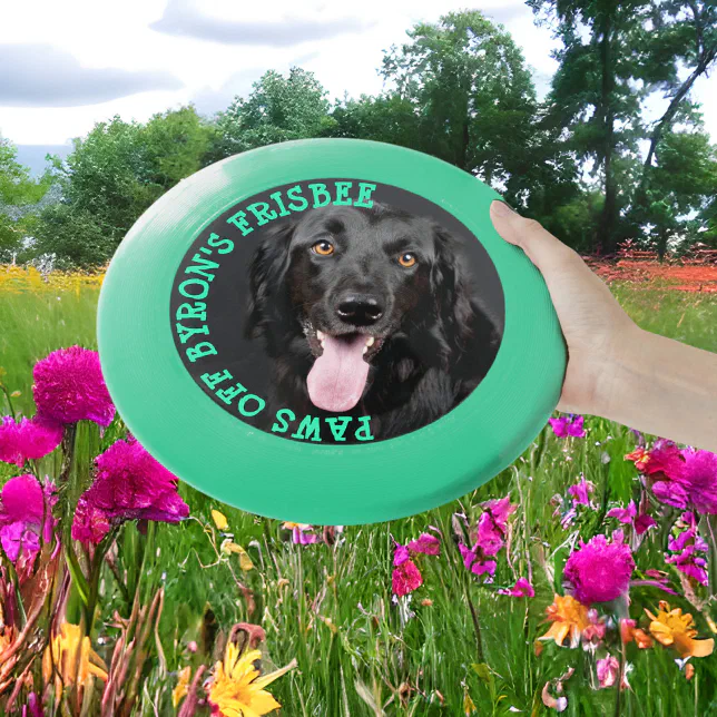 Personalized Custom Dog Photo & Name Toy Frisbee | Zazzle