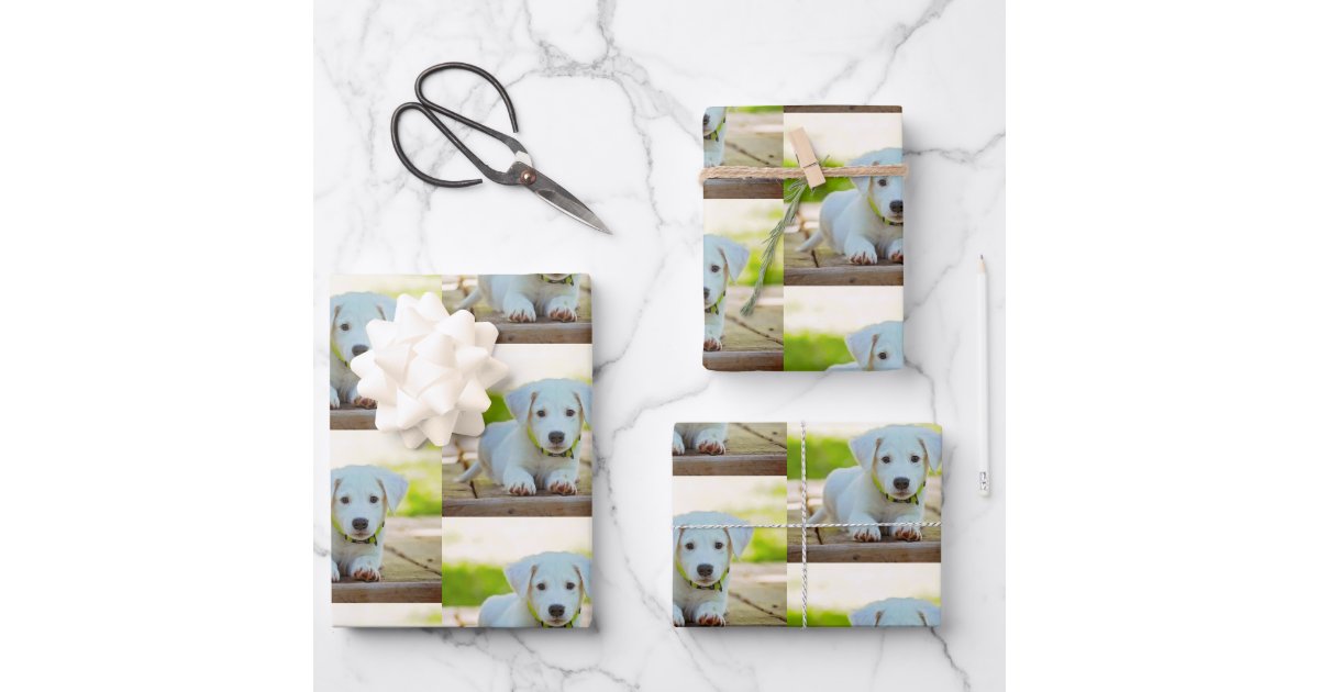 Personalized custom pet photo wrapping paper sheets | Zazzle
