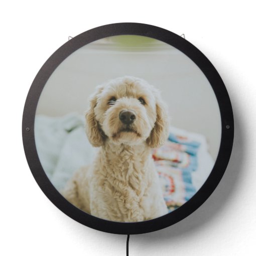 Personalized Custom Photo LED Sign | Zazzle