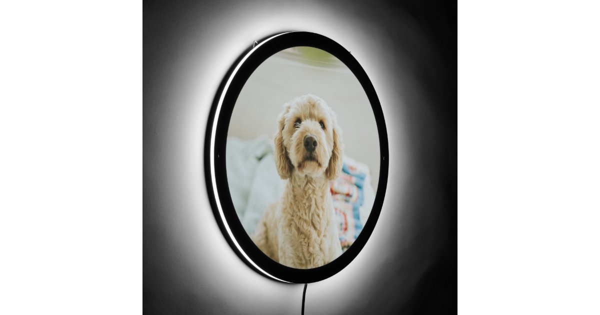 Personalized Custom Photo LED Sign | Zazzle