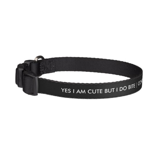 Personalized Custom Text Name And Number Pet Collar | Zazzle.com