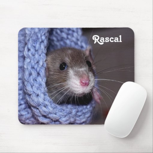Personalized Cute Baby Pet Rat Mouse Pad | Zazzle