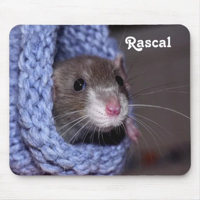 Personalized Cute Baby Pet Rat Mouse Pad | Zazzle