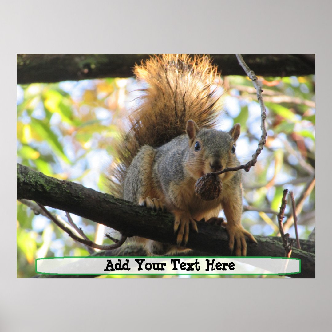 Personalized Cute Squirrel Humor Poster | Zazzle