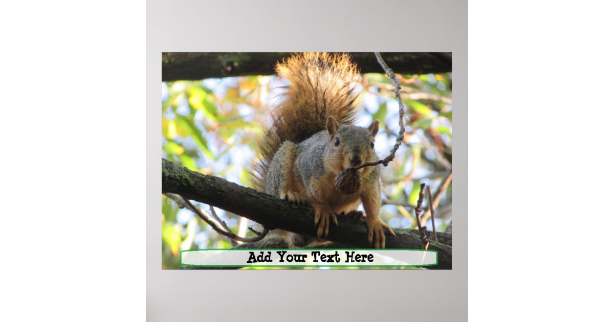 Personalized Cute Squirrel Humor Poster | Zazzle