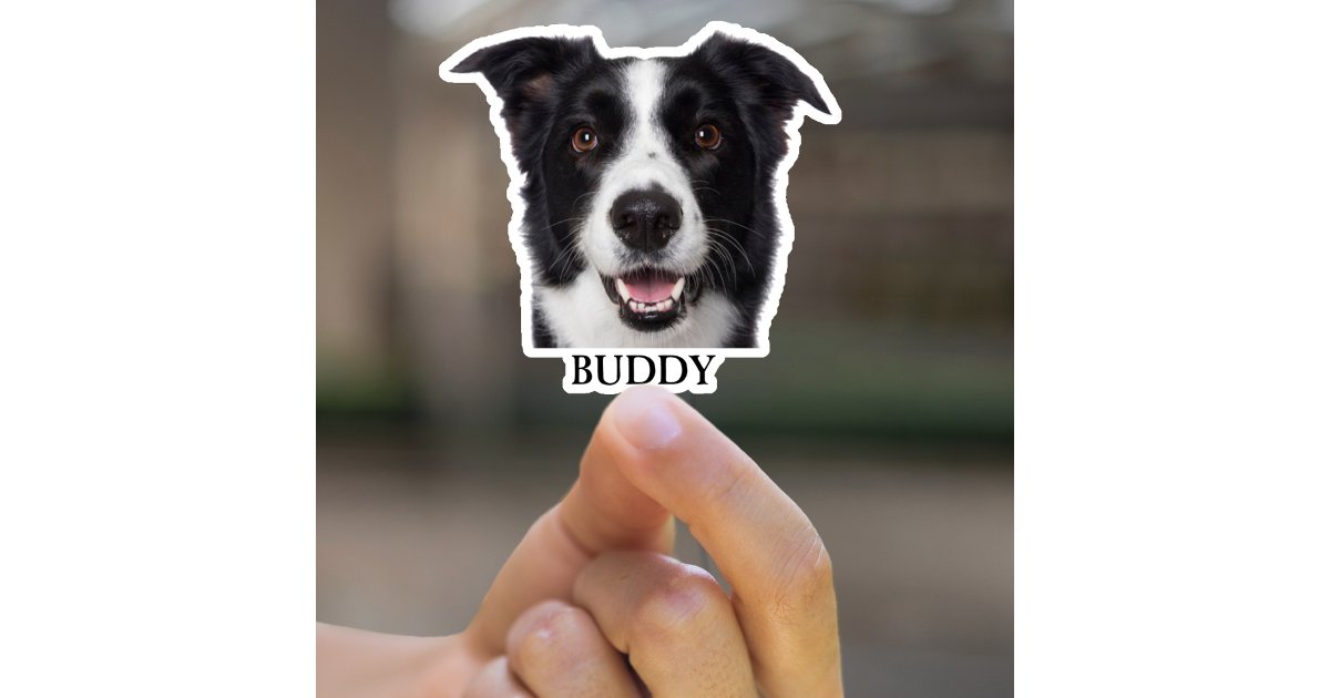 Personalized Dog Photo Sticker Custom Dog Stickers | Zazzle