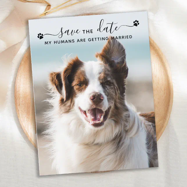 Personalized Dog Wedding Pet Photo Save The Date Announcement Postcard ...