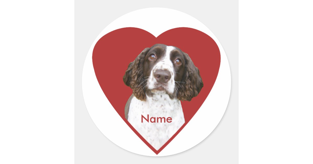 Personalized English Springer Spaniel Stickers | Zazzle