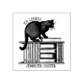 Personalized Ex Libris, Vintage Cat Book Rubber Stamp | Zazzle