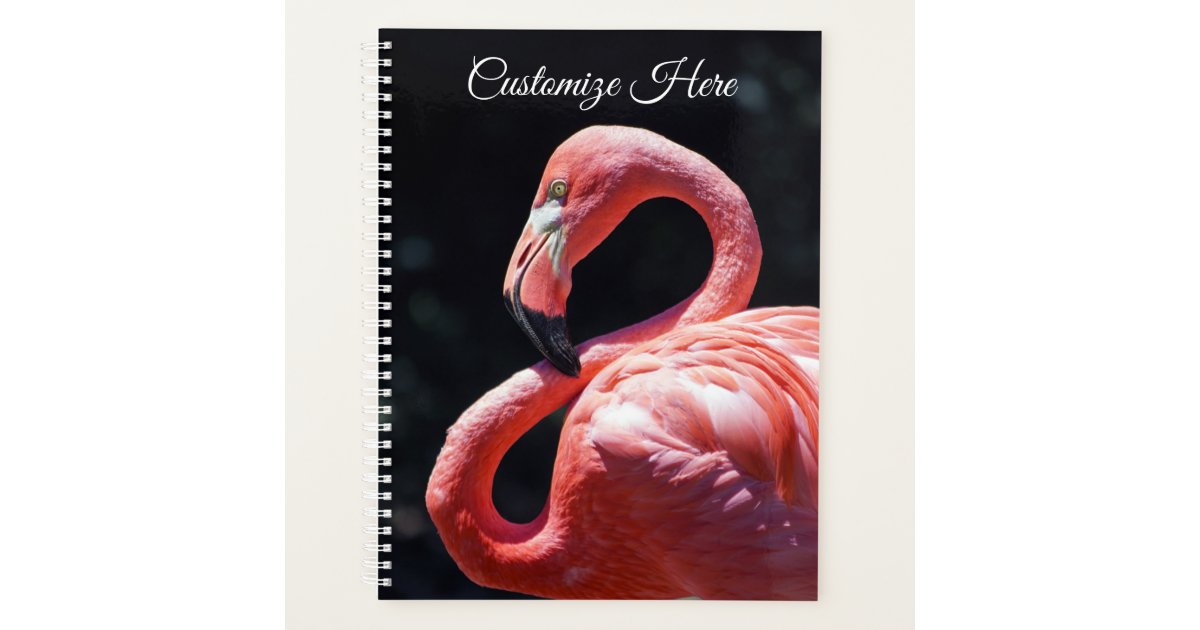 Personalized Flamingo Weekly/Monthly Planner | Zazzle
