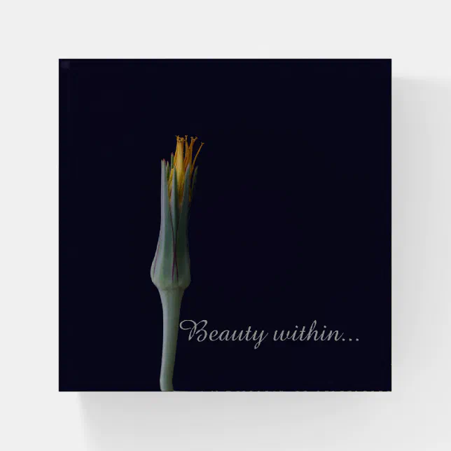 Personalized Floral Art Glass Paperweight Display | Zazzle