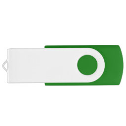 Personalized funny green turtle USB flash drive | Zazzle