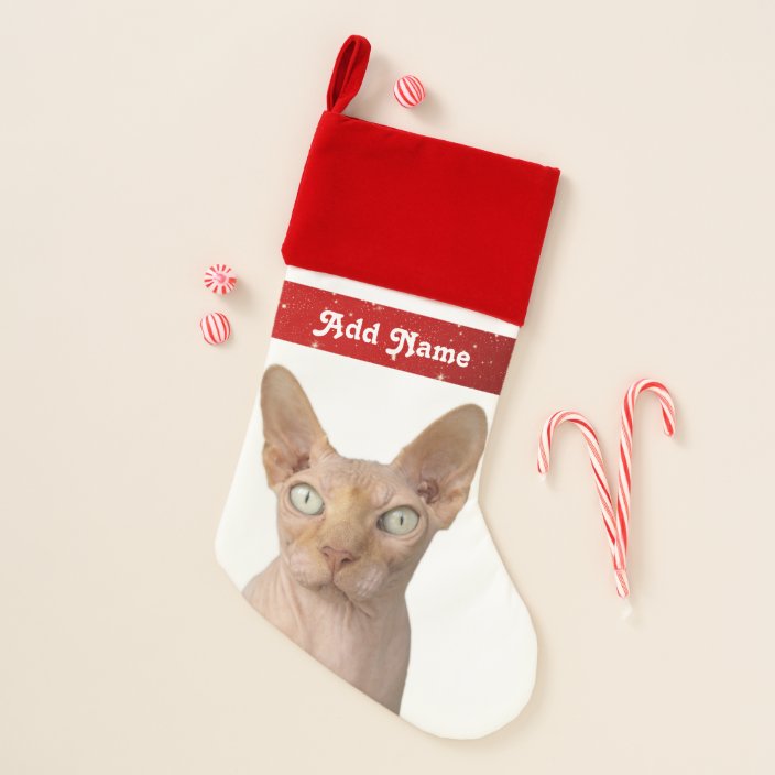 Personalized Hairless Sphynx Cat Christmas Stocking | Zazzle.com
