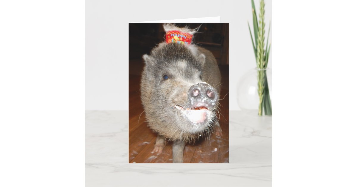 Personalized Happy Birthday Mini Pig Card | Zazzle