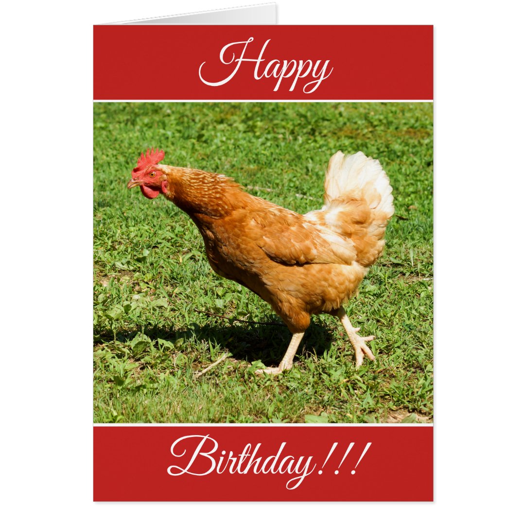 Personalized Happy Birthday Rooster Card | Zazzle