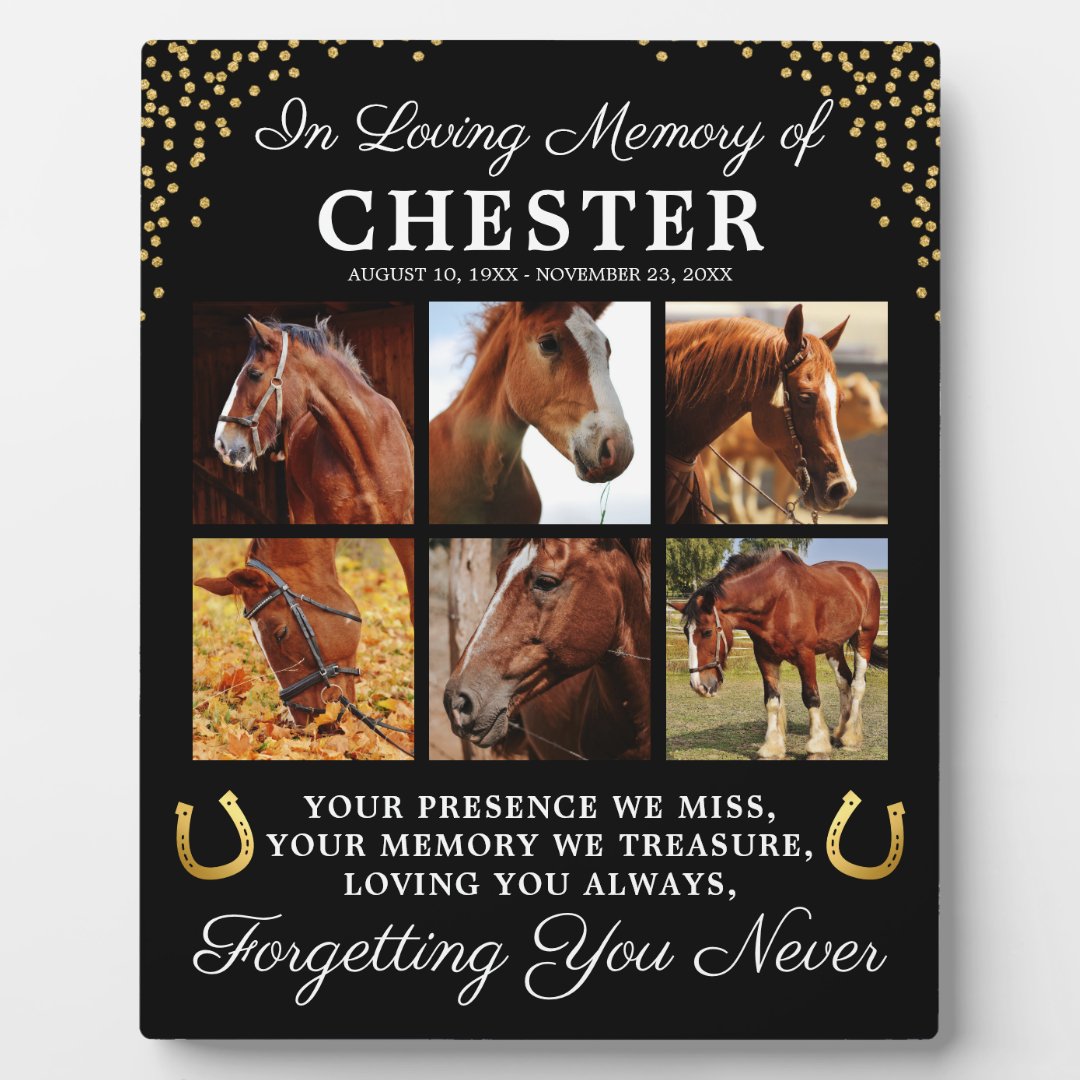 Personalized In Loving Memory Horse Plaque | Zazzle
