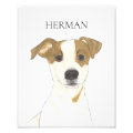 Personalized Jack Russell Terrier Art Photo Print | Zazzle