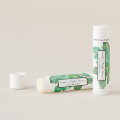 Personalized Jungle Tropical Leaves Lip Balm | Zazzle