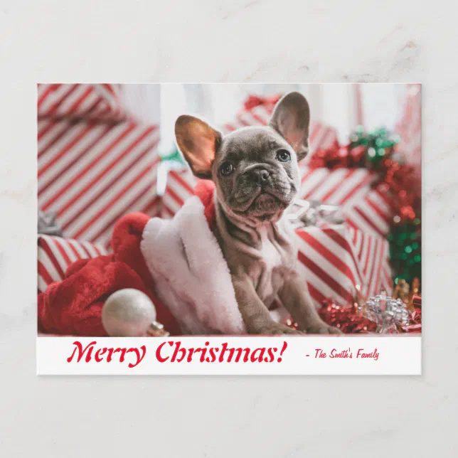 Personalized Merry Christmas French Bulldog Puppy Postcard | Zazzle