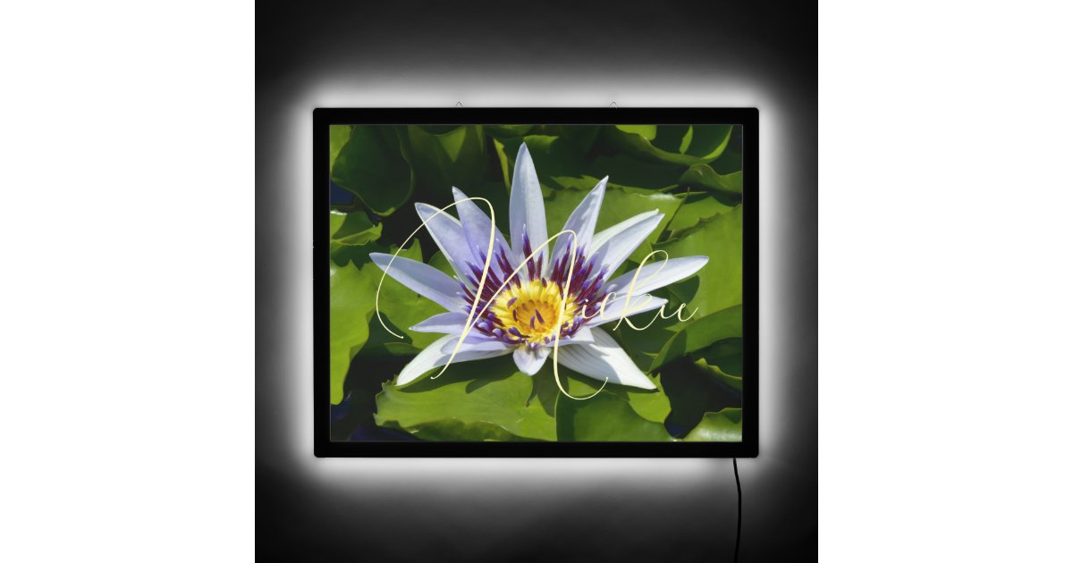 Personalized Name on Yellow Purple Water Lily LED LED Sign | Zazzle