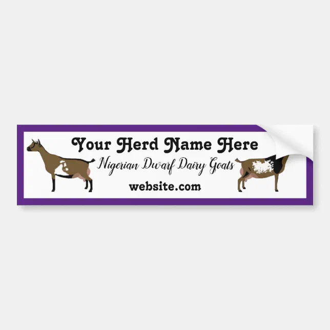 Personalized Nigerian Dwarf Dairy Goat Bumper Sticker | Zazzle