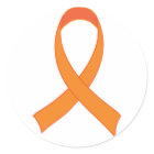 Personalized Orange Ribbon Awareness Gift Classic Round Sticker | Zazzle