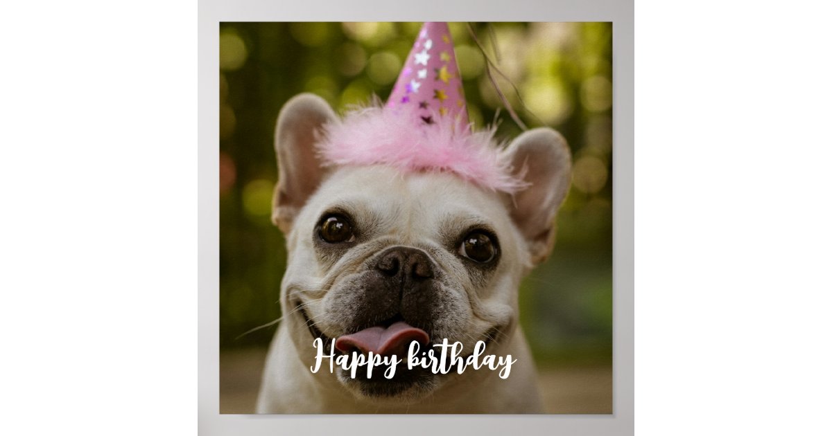 Personalized pet dog birthday Poster | Zazzle