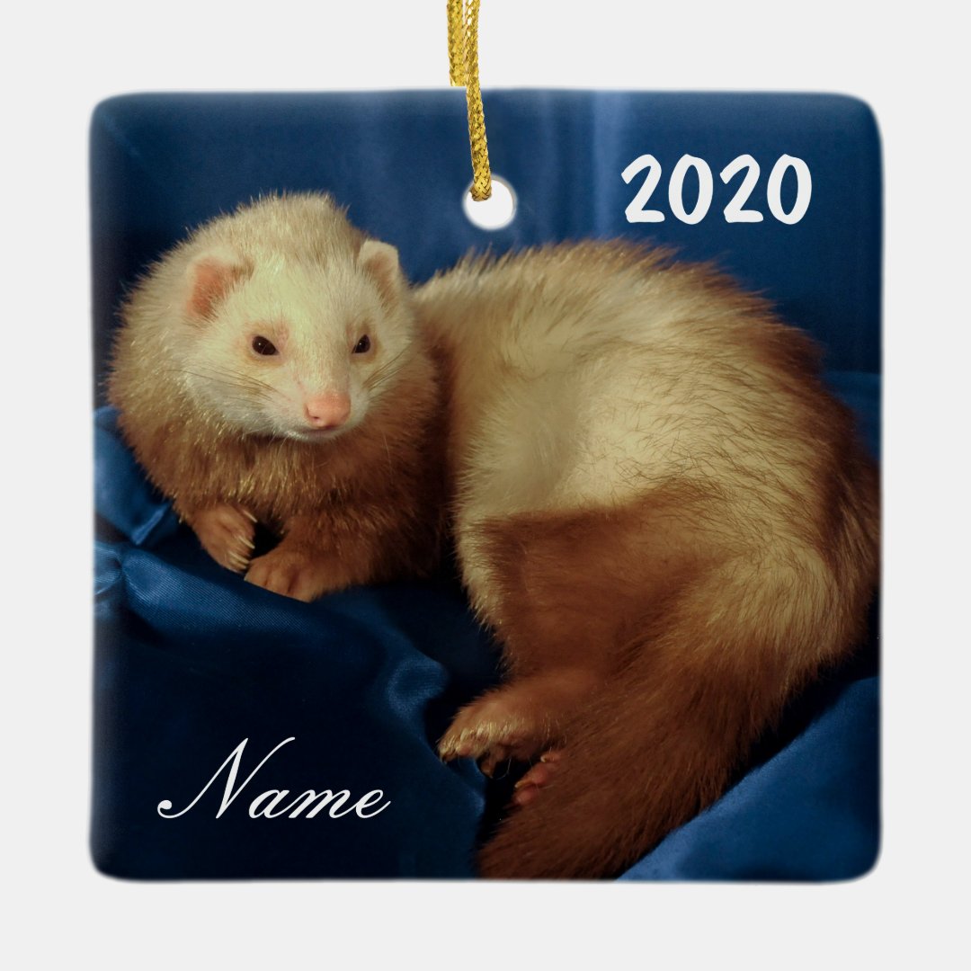 Personalized Pet Ferret Ceramic Ornament | Zazzle